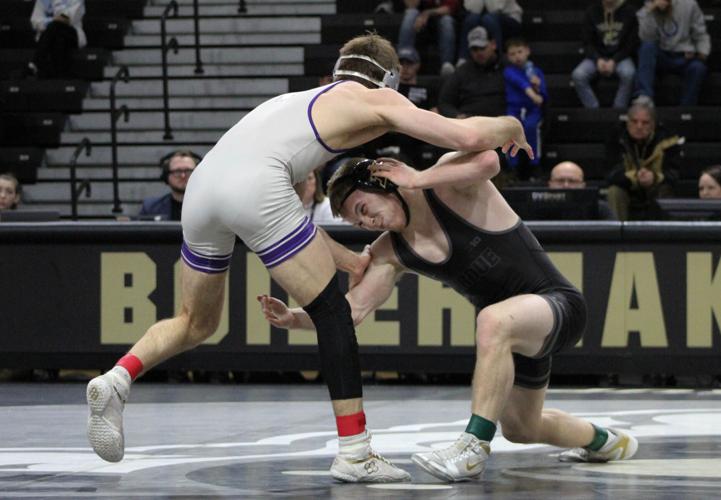 Wrestling suffers another dual loss on Senior Day | Wrestling ...
