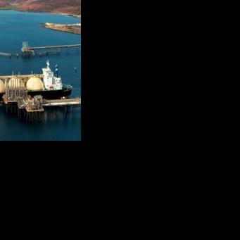 Australia to force gas giants to reserve fuel for domestic use ...