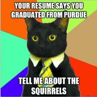 Purdue memes become more popular | Features | purdueexponent.org