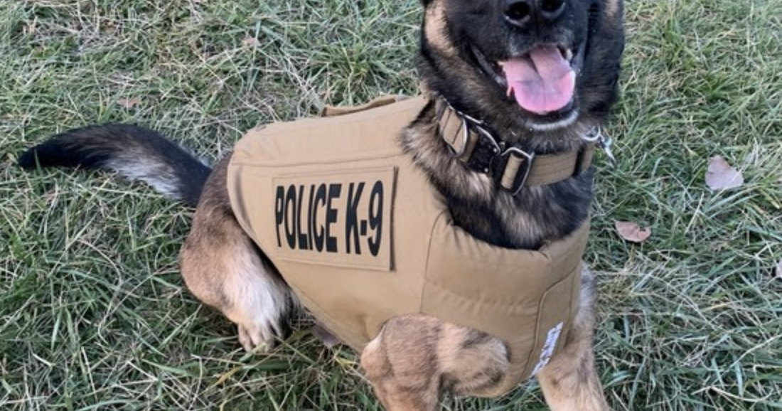 State police dog gets new armor | City & State | purdueexponent.org