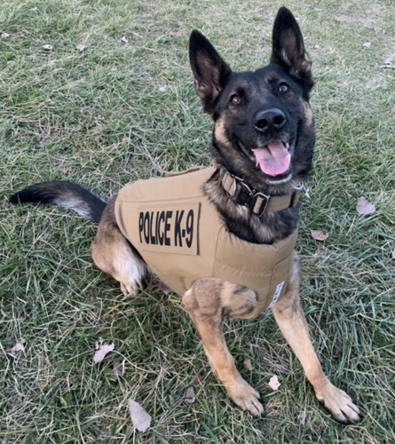 State police dog gets new armor | City & State | purdueexponent.org
