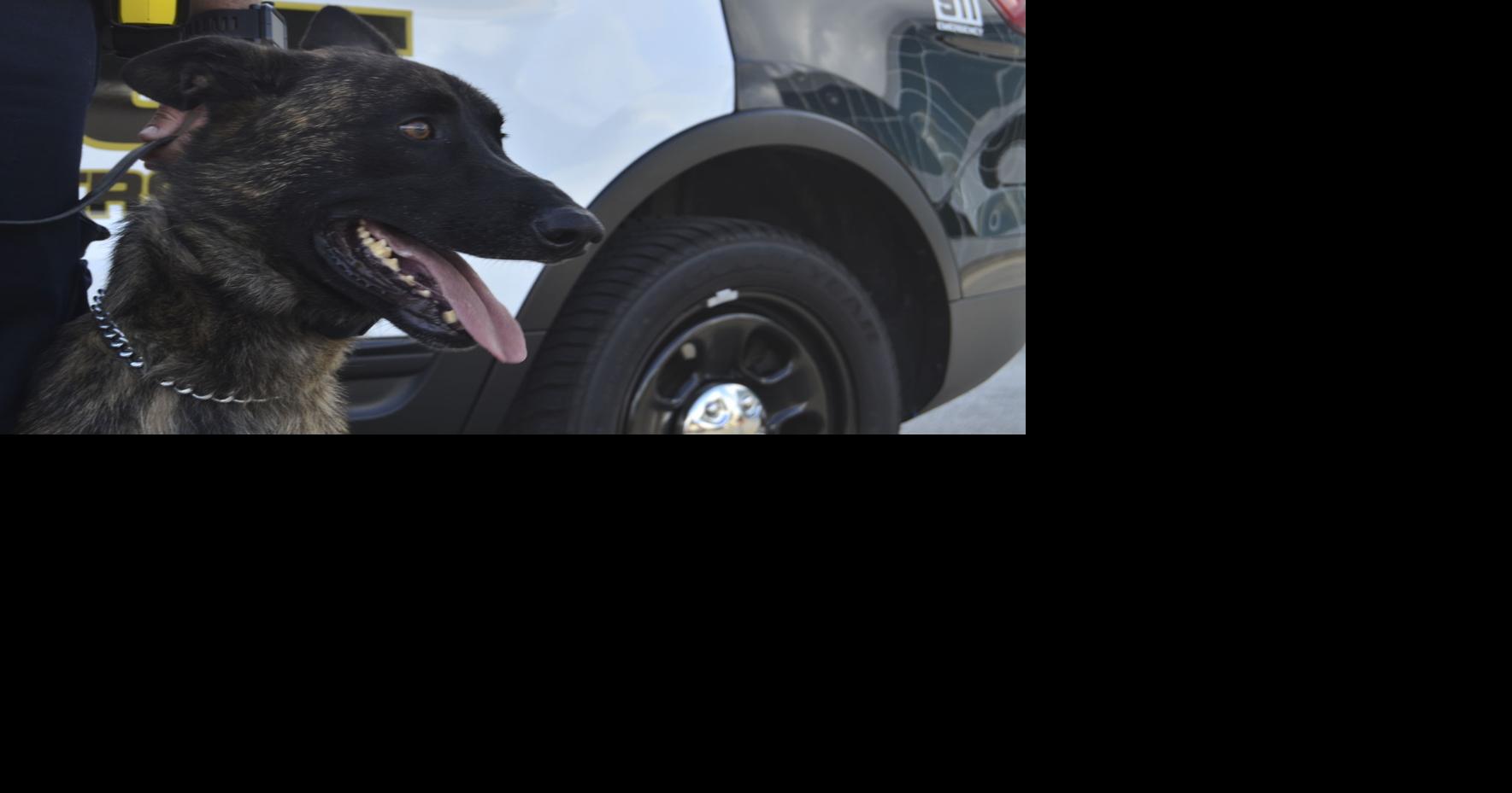 Purdue police adds new K-9 to the team | Campus | purdueexponent.org