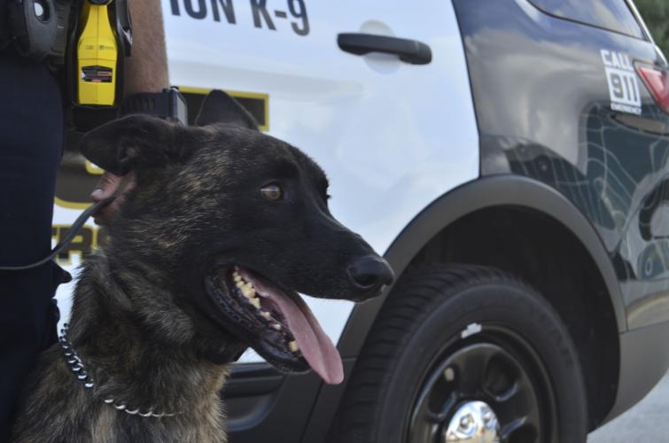Purdue police adds new K-9 to the team | Campus | purdueexponent.org