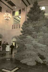 Tree brings Christmas spirit to Union | Campus | purdueexponent.org