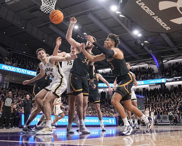 Painter: ‘It’s really stupid’ | Basketball | purdueexponent.org