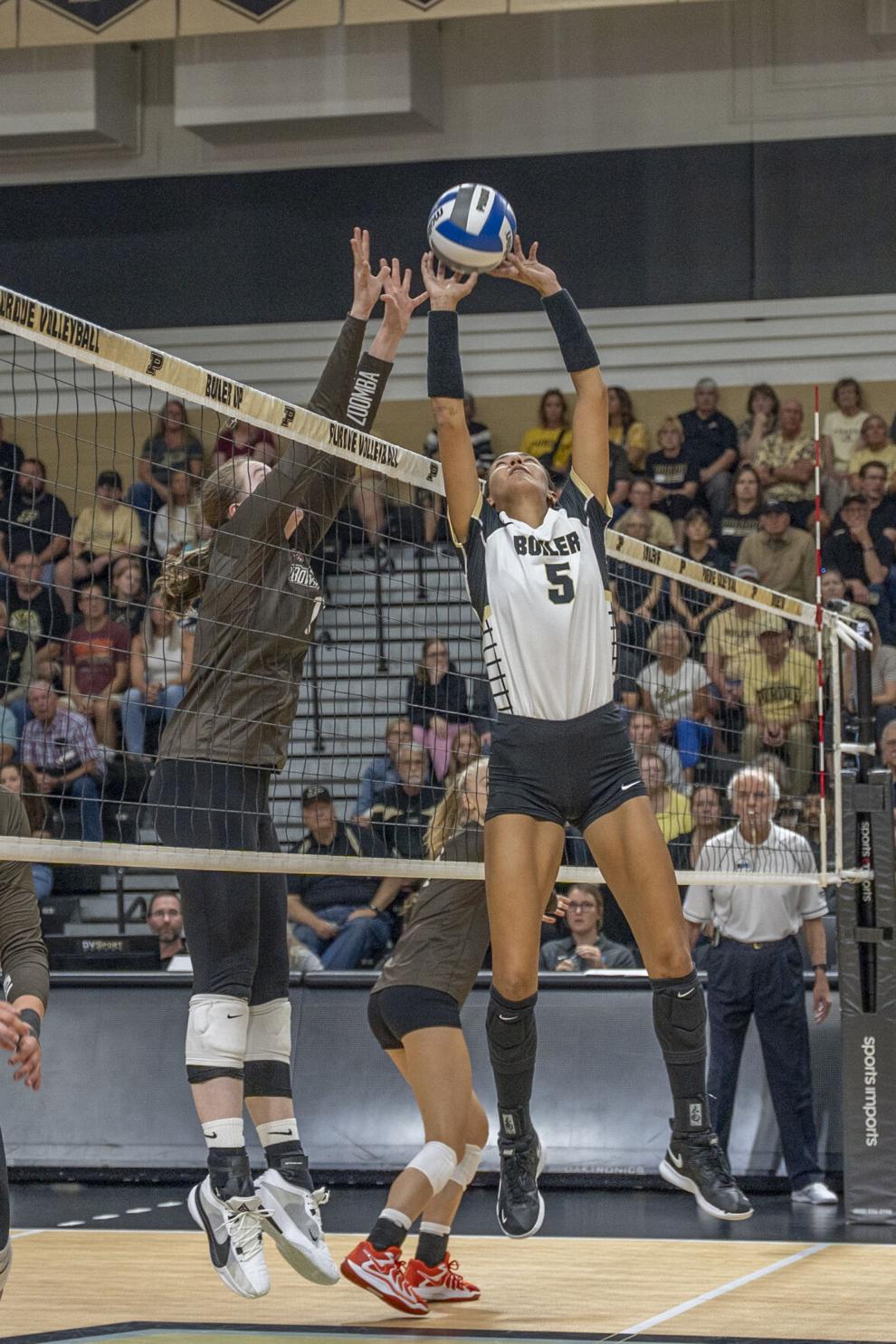 Purdue volleyball dominates Ball State Cardinals | Volleyball ...