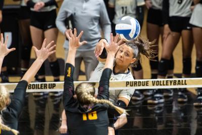 Volleyball defeats No. 23 Kansas | Volleyball | purdueexponent.org
