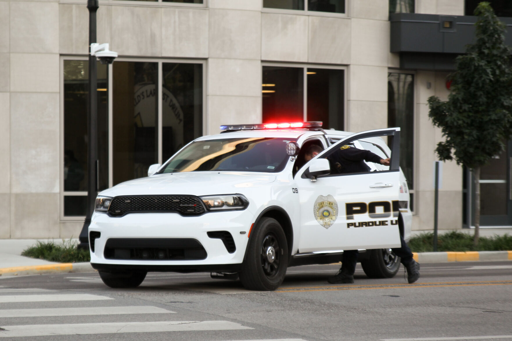 Resolution opposing anti-DEI bill passed by PGSG | Campus ...