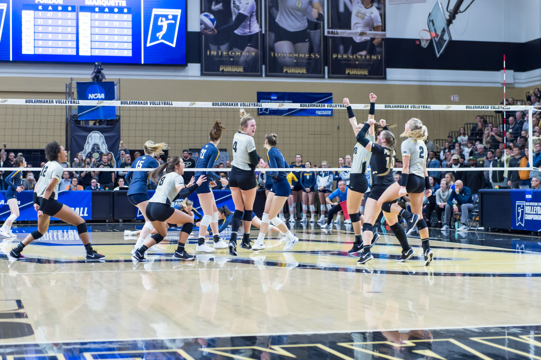 Purdue volleyball postpones Monday season ticket renewal | Sports ...