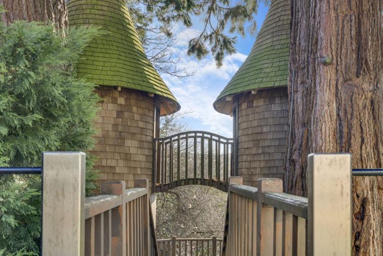 Country estate comes with ‘ultimate’ treehouse castle up | National ...