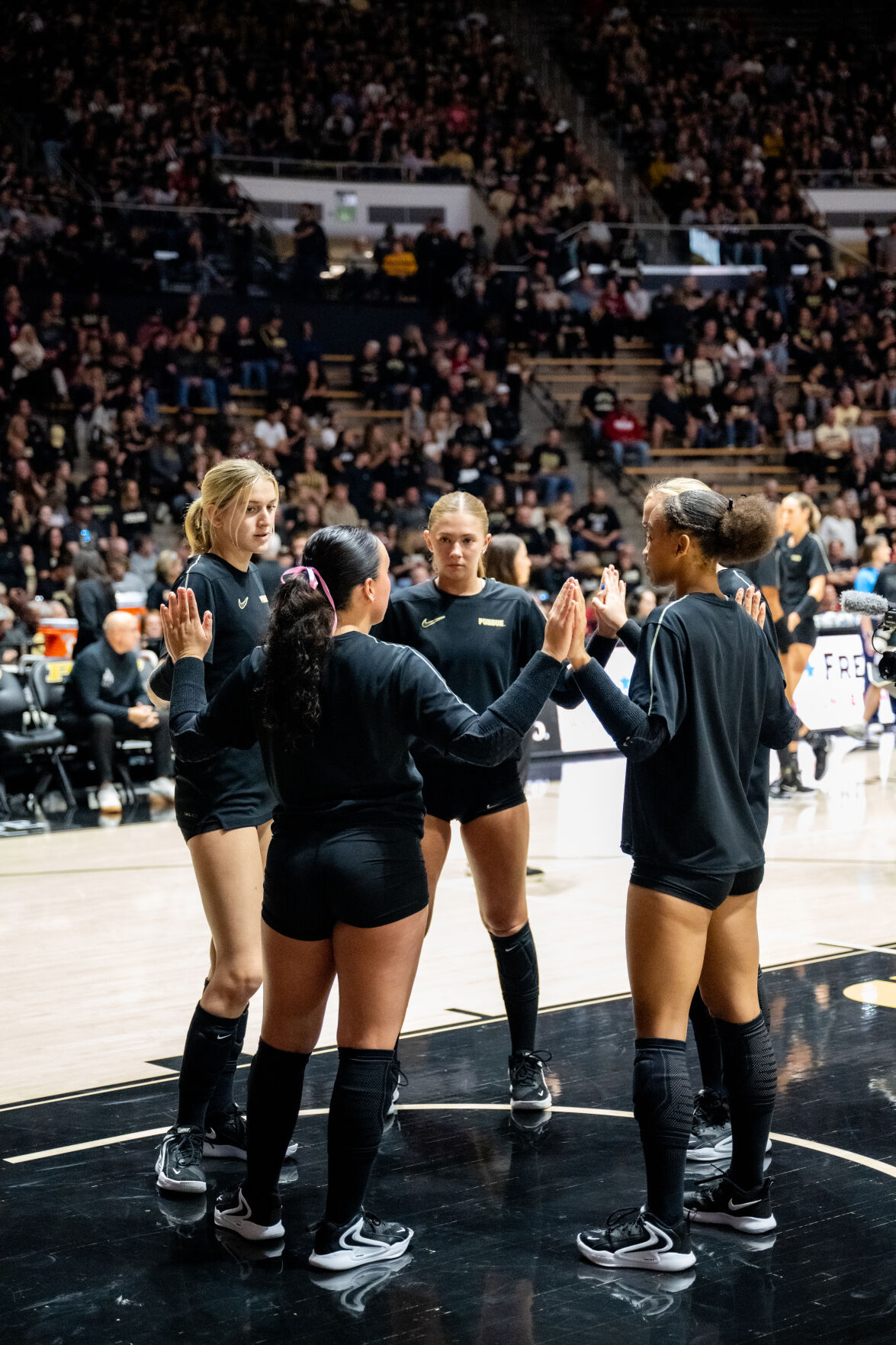 Photo gallery: 10/19/24 No. 10 Purdue 3, Indiana 0 | Multimedia ...