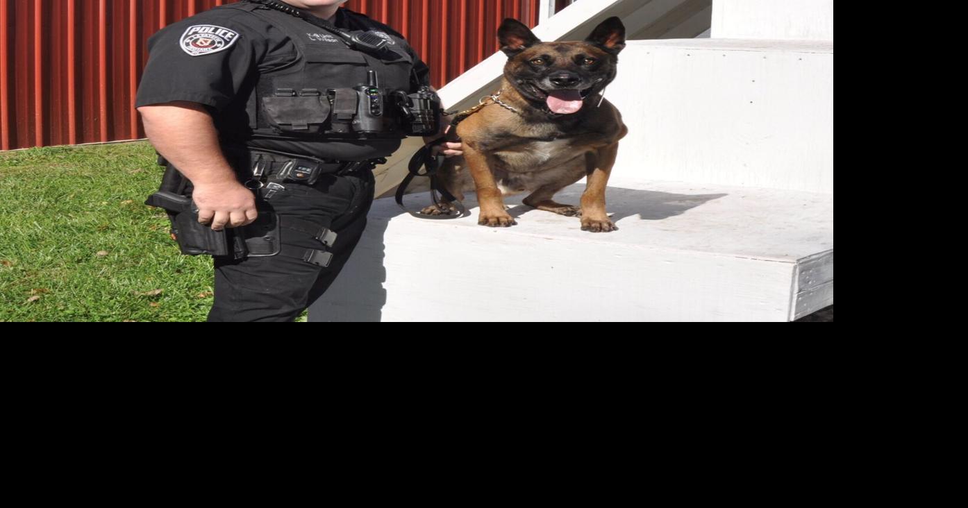 Illinois man bit by LPD K-9 sues officers in federal court | City ...