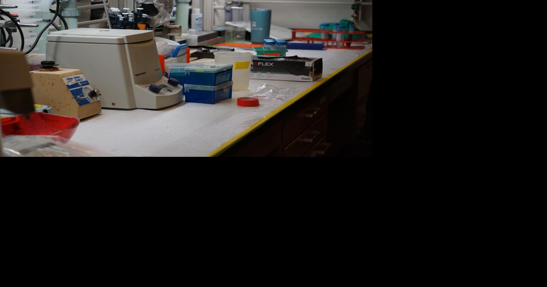 Purdue team discovers new breast cancer therapeutic target | Campus ...