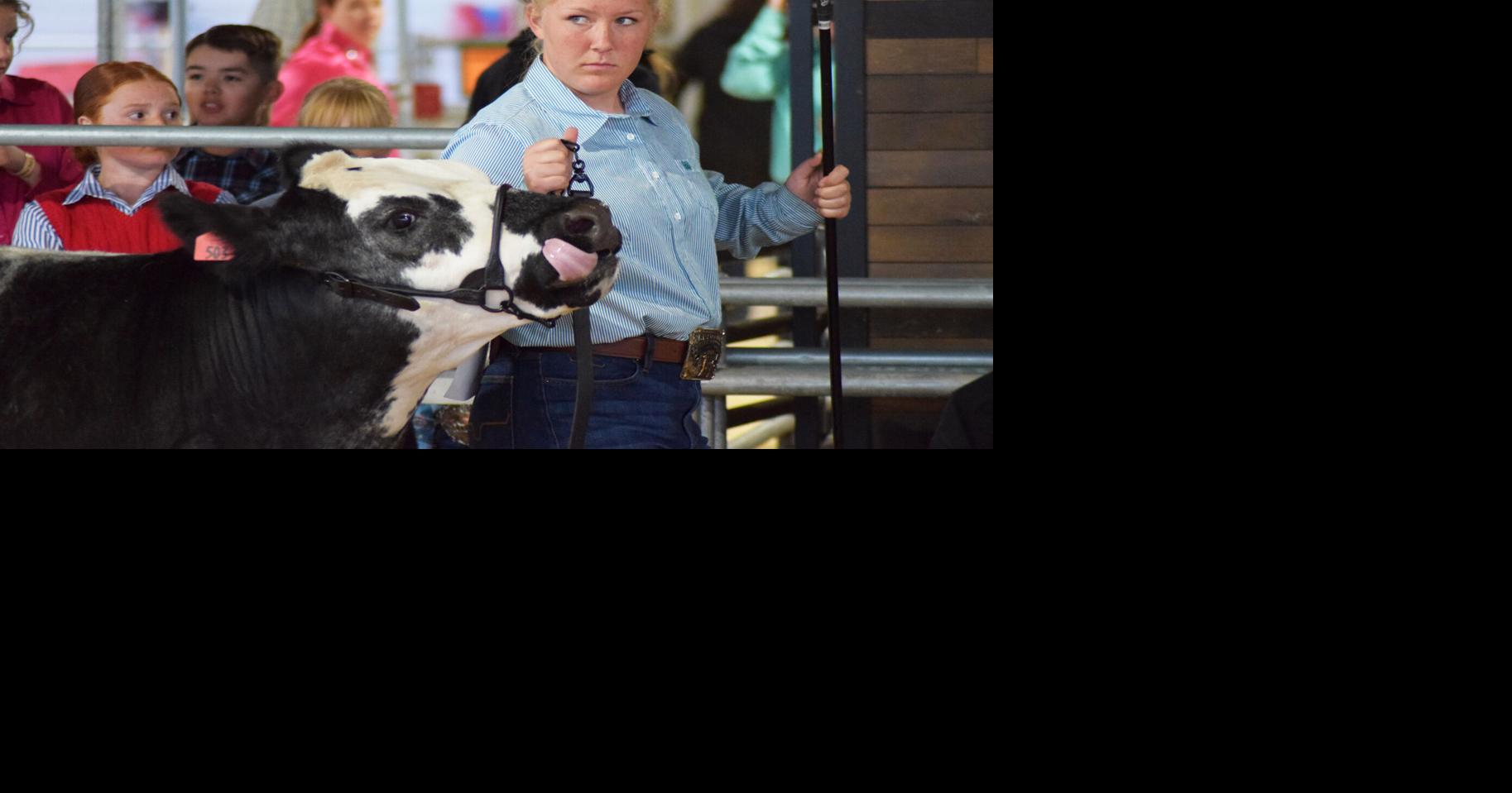 ‘Carnival Lights and Country Nights’: Colorado River Fair delivers fun ...