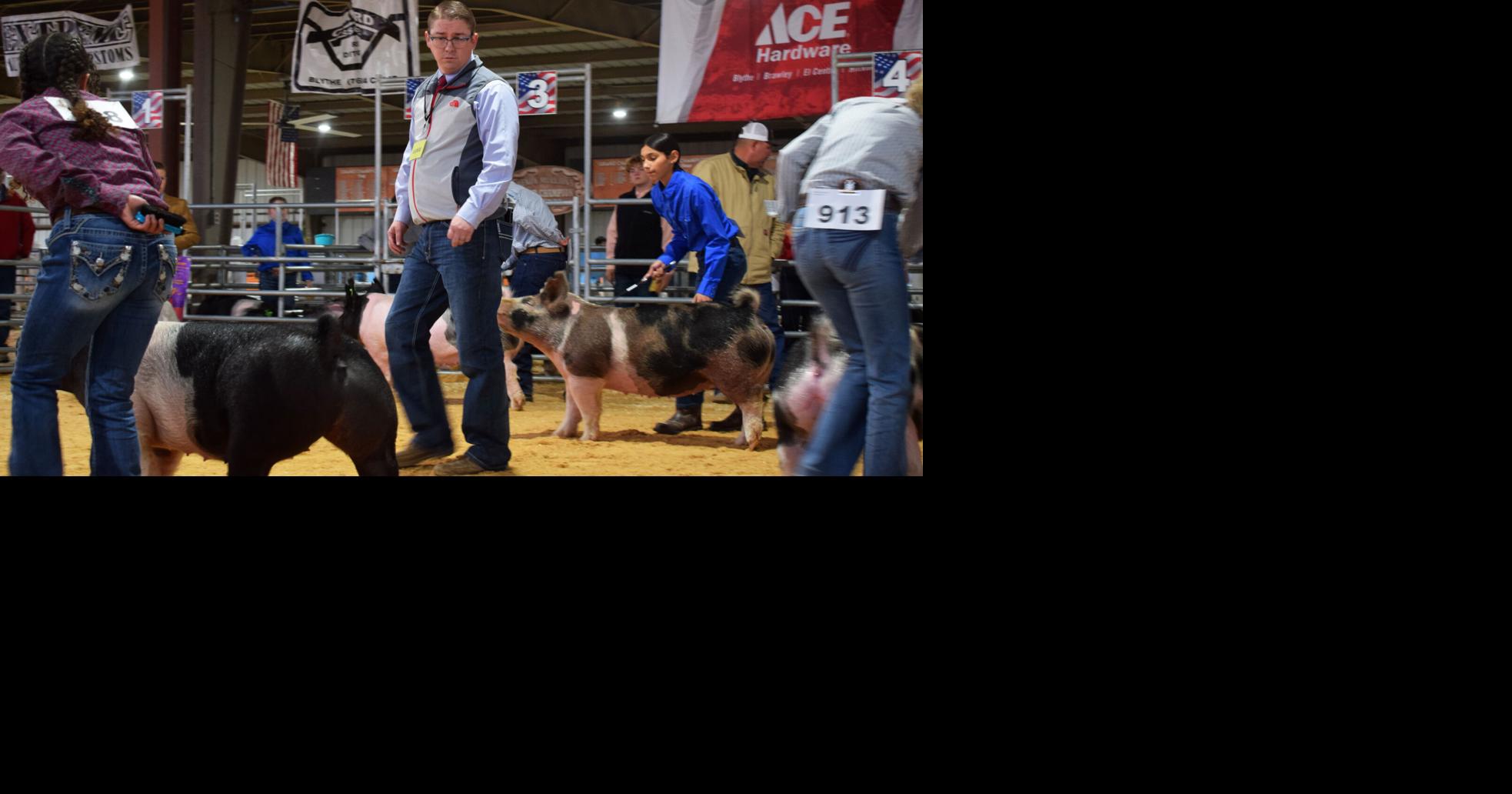 ‘Carnival Lights and Country Nights’: Colorado River Fair delivers fun ...