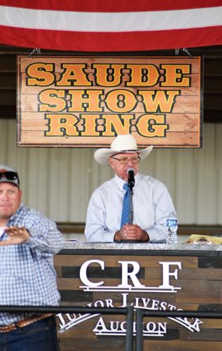 Faces & Places: Market champions of 2024’s Colorado River Fair | | pvvt.com