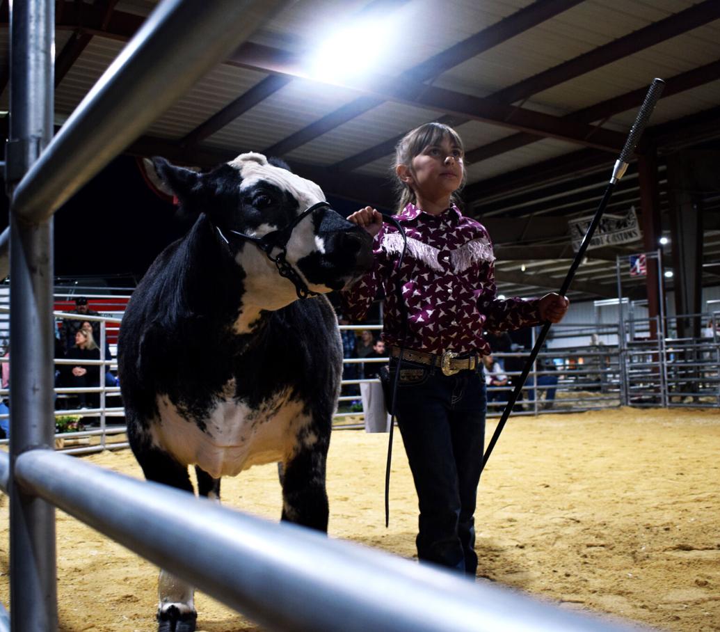 ‘Carnival Lights and Country Nights’: Colorado River Fair delivers fun ...