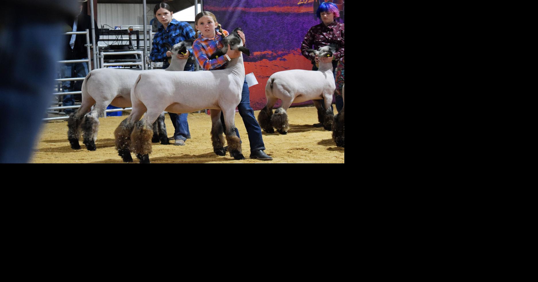 ‘Carnival Lights and Country Nights’: Colorado River Fair delivers fun ...