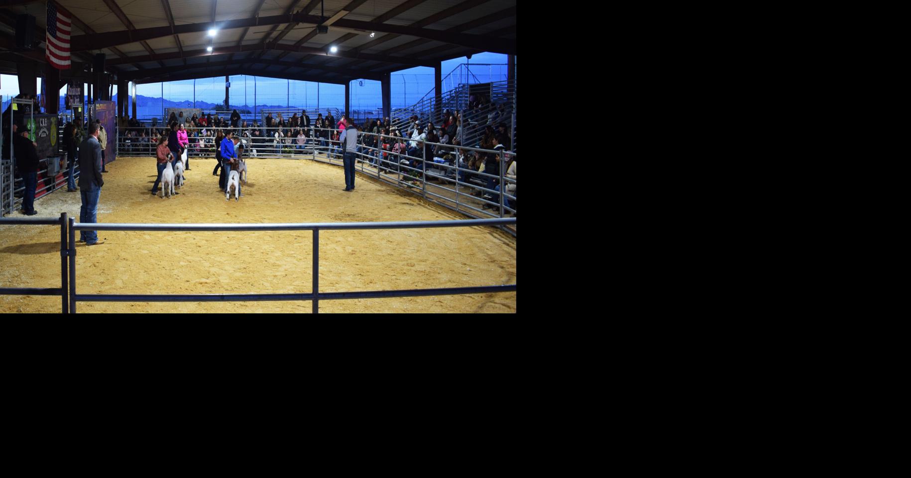 ‘Carnival Lights and Country Nights’: Colorado River Fair delivers fun, attractions, champions ...