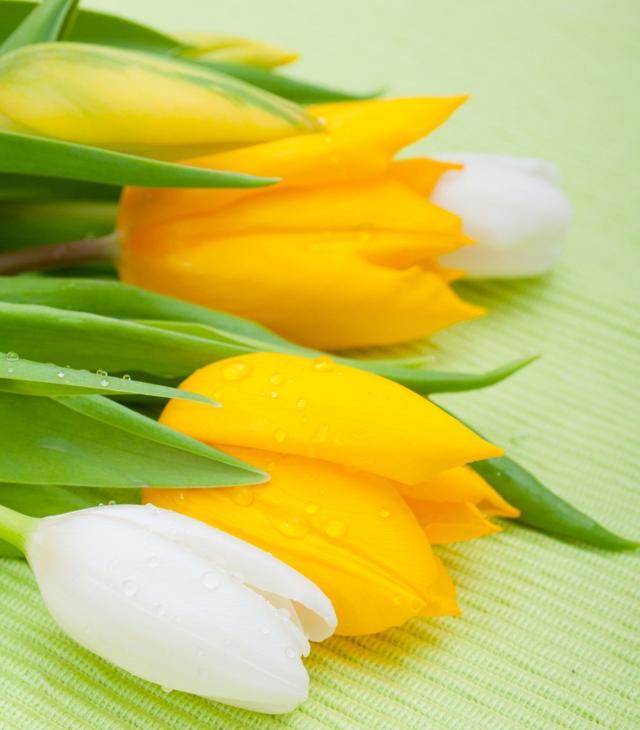 Local Events | pvvt.com