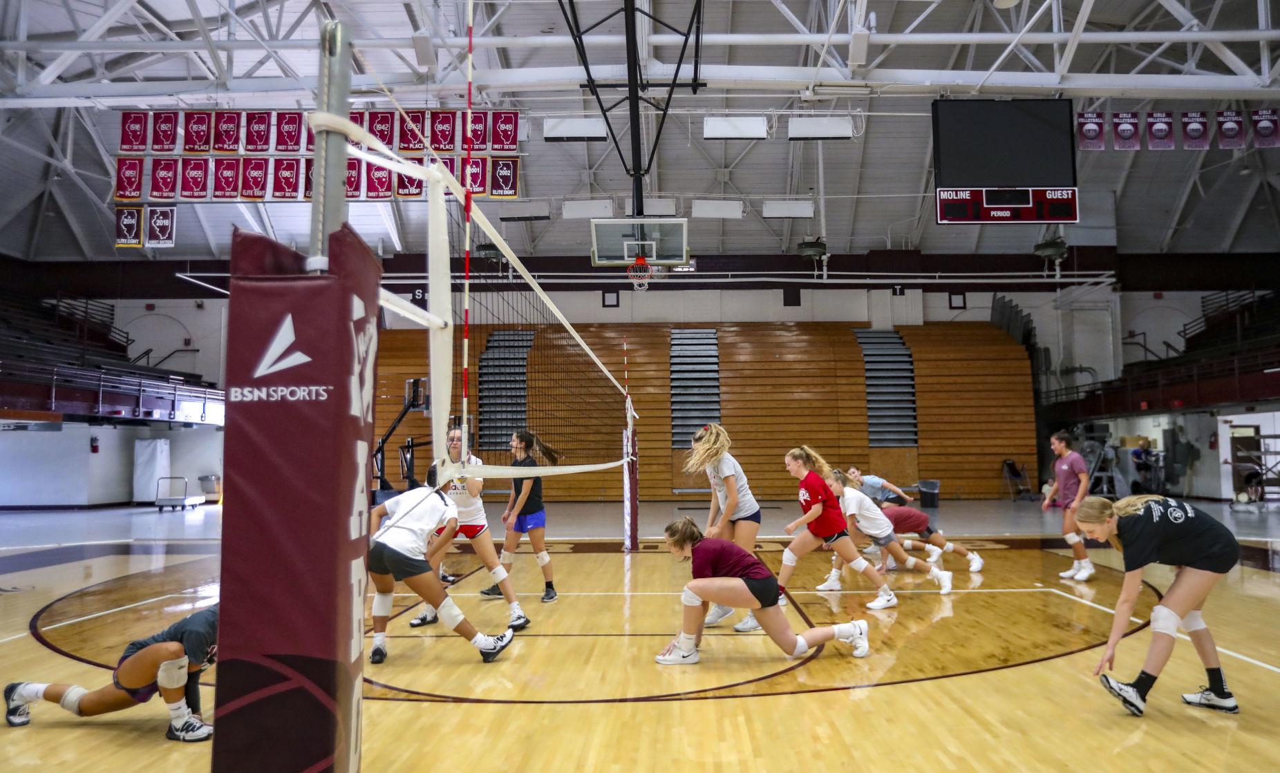 Fetter set to make coaching mark with Moline volleyball