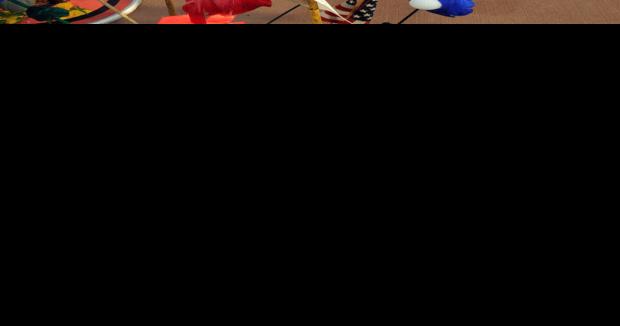 Flamingo Fling offers taste of the tropics