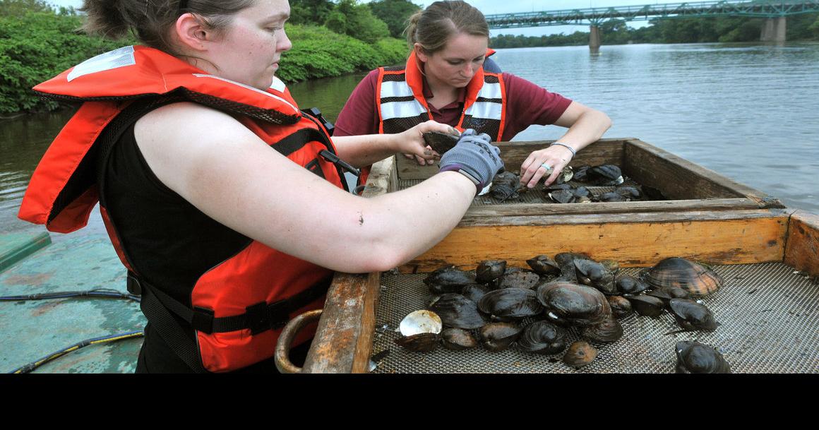 Mississippi mussel pull wins national award