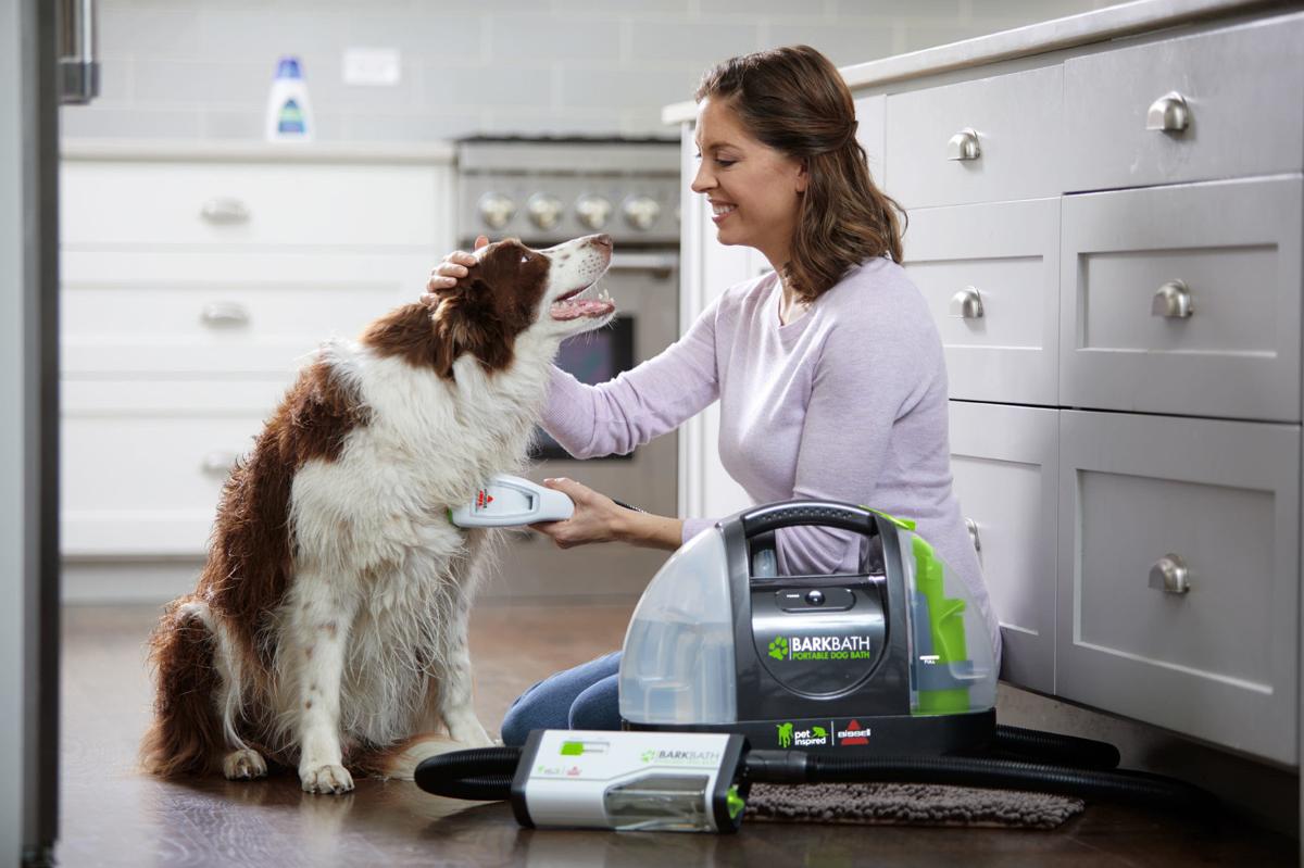 Get this gear and gadgets to clean a dirty dog | Life | qconline.com