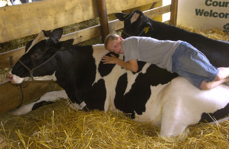 A Heartwarming Moment of Compassion: A Son’s Bond with His Cow – New ...