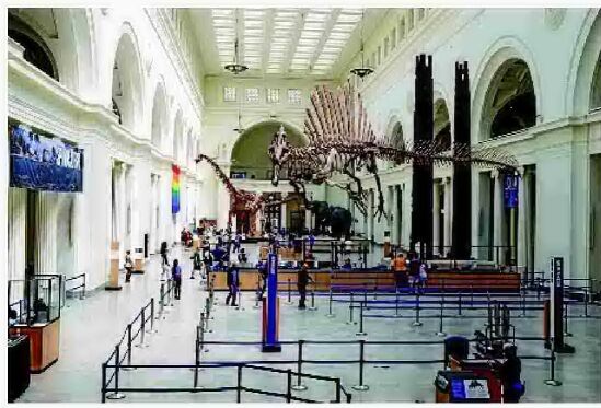 Field Museum displays Spinosaurus