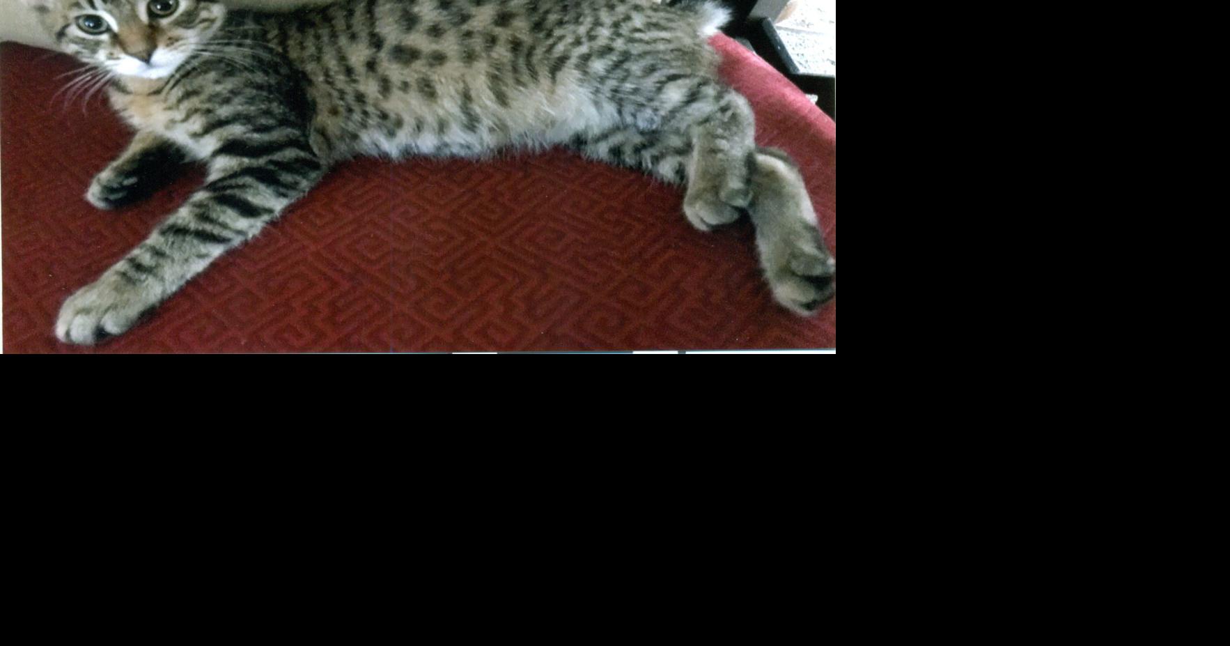 Creature Feature: Meet the dynamic duo, Pepsi and Cola