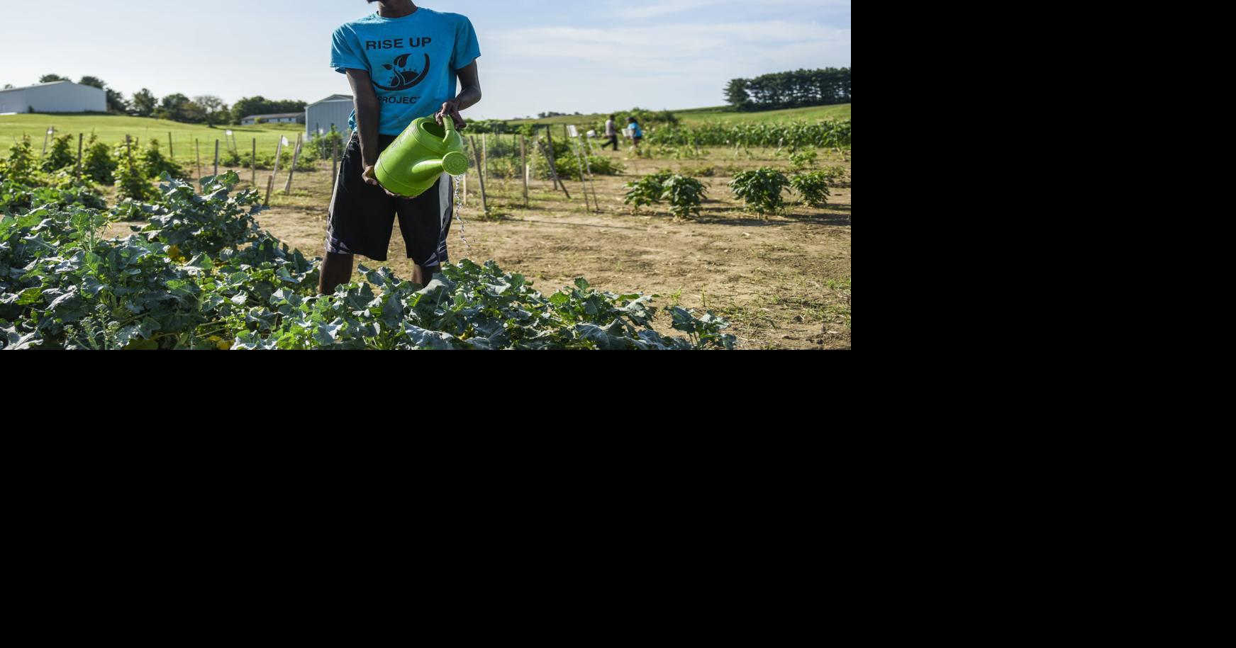 Arrowhead Ranch reaps final harvest of year's produce