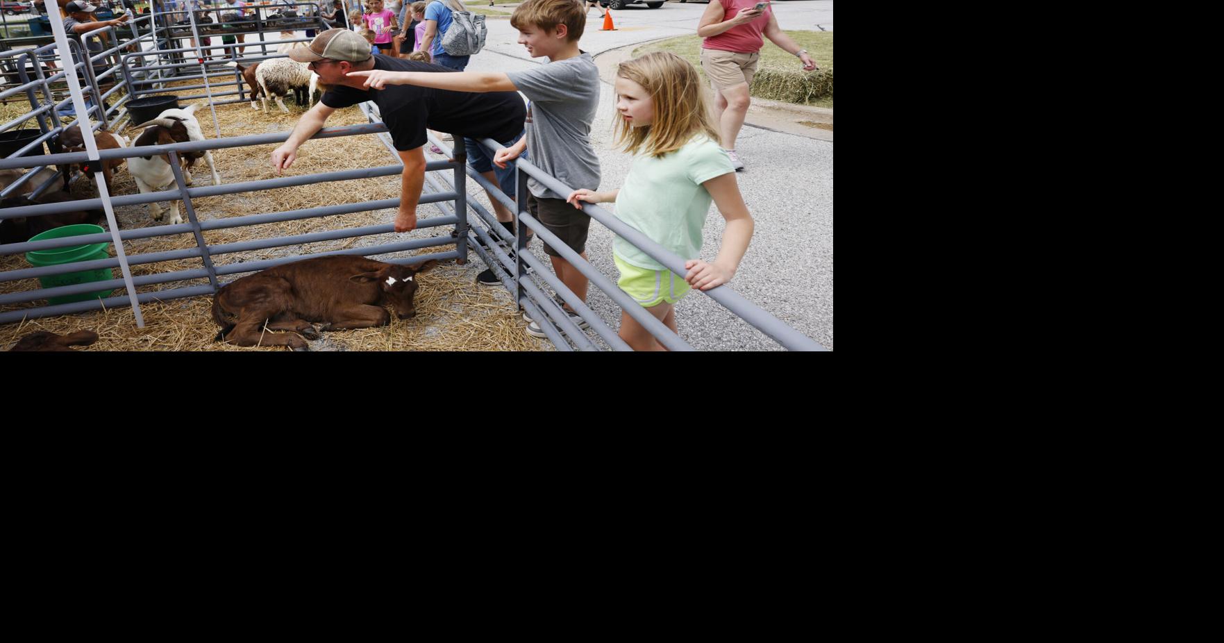 Photos: Colbrese Farms petting zoo at Moline Public Library