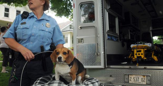 Moline house damaged by fire, smoke Friday afternoon