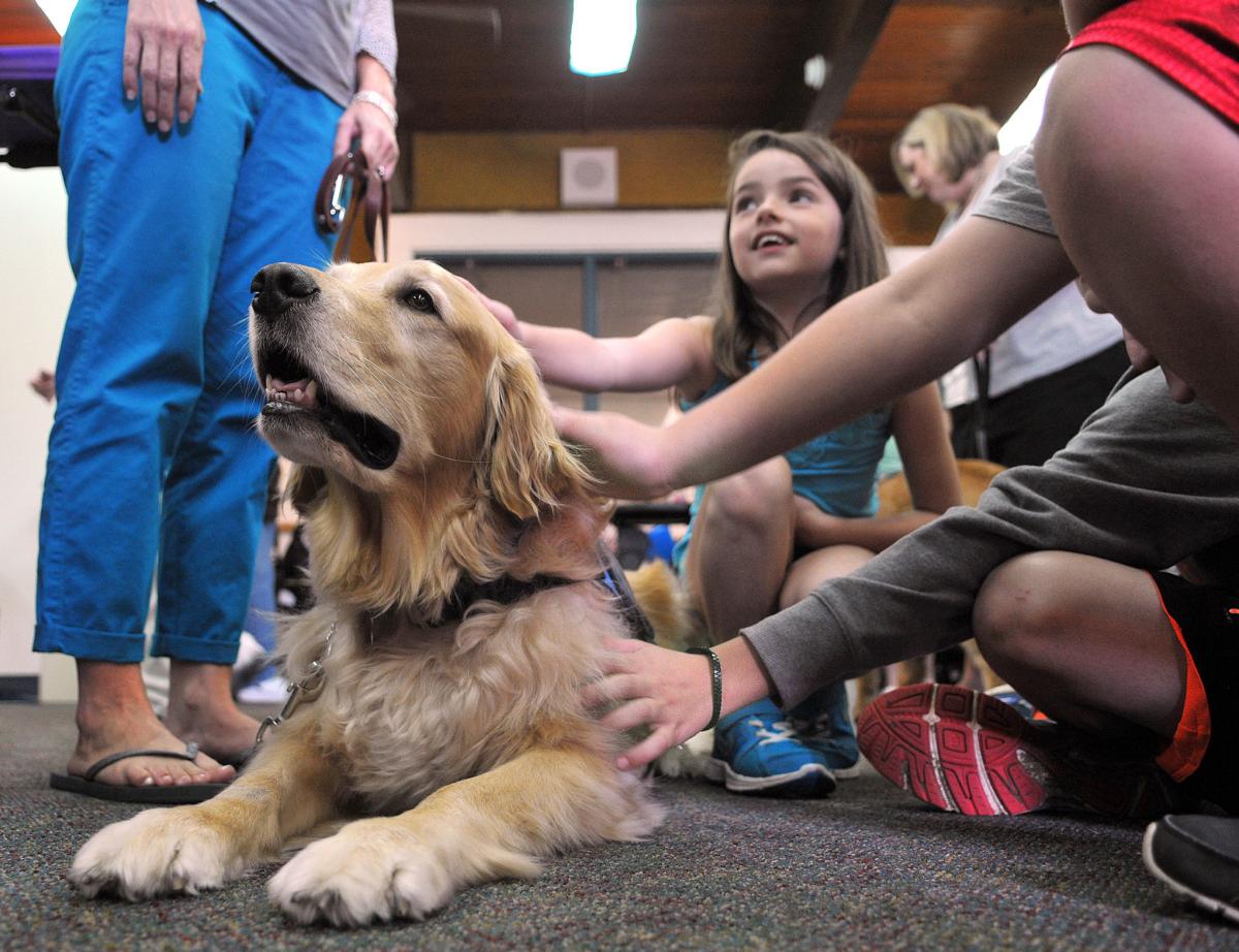 Therapy Dog Training therapy-dog-training
