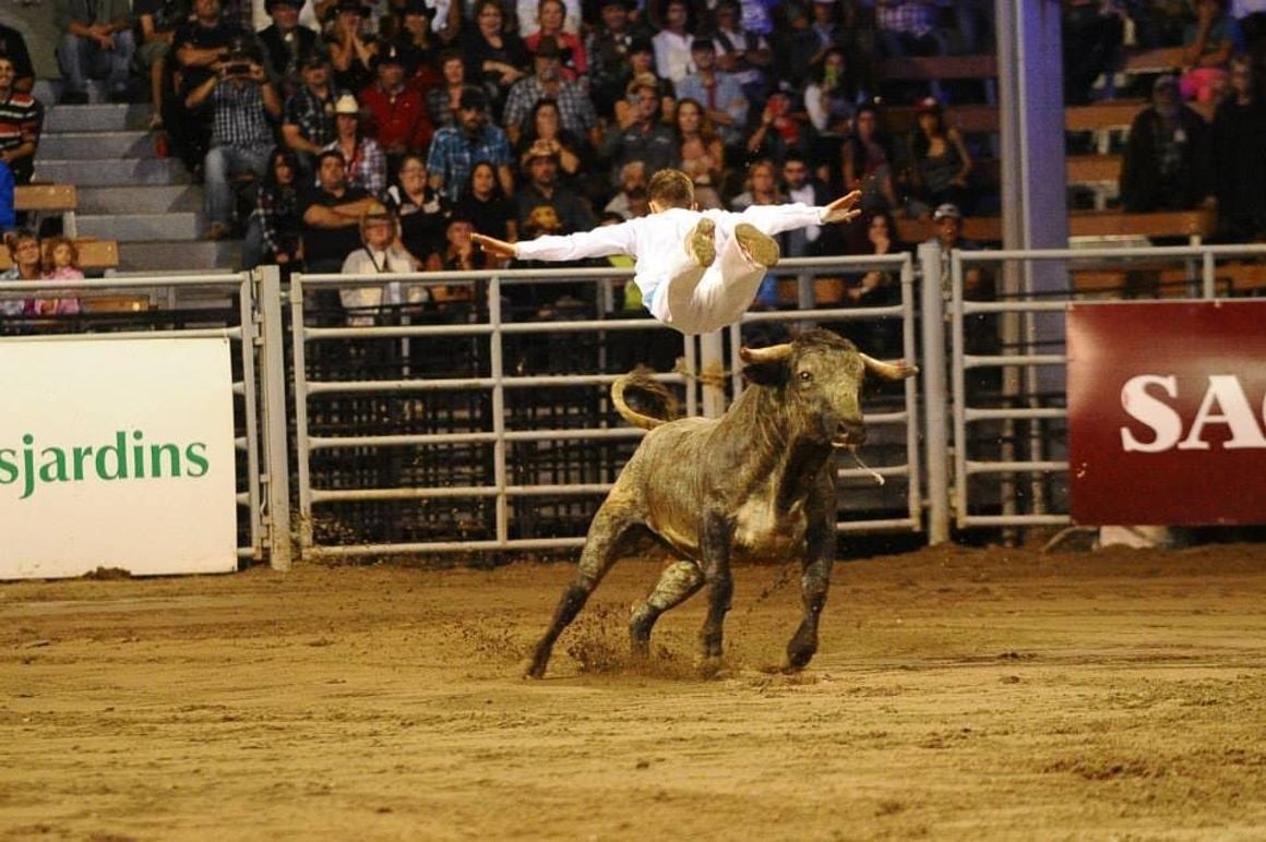 French bull jumper thrives on risky thrills in rodeo