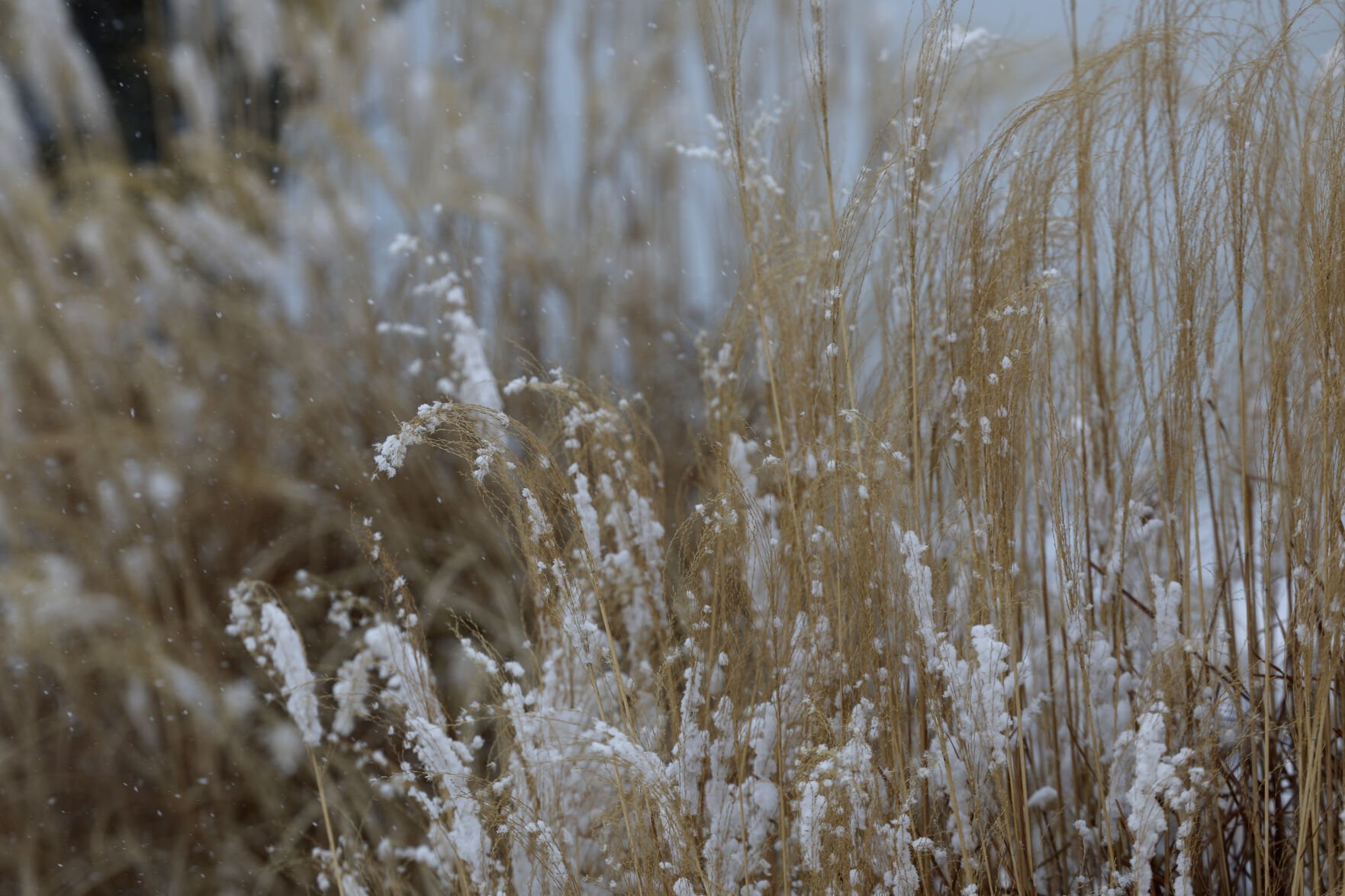 Live: Updates on Quad-Cities weather for Feb. 12