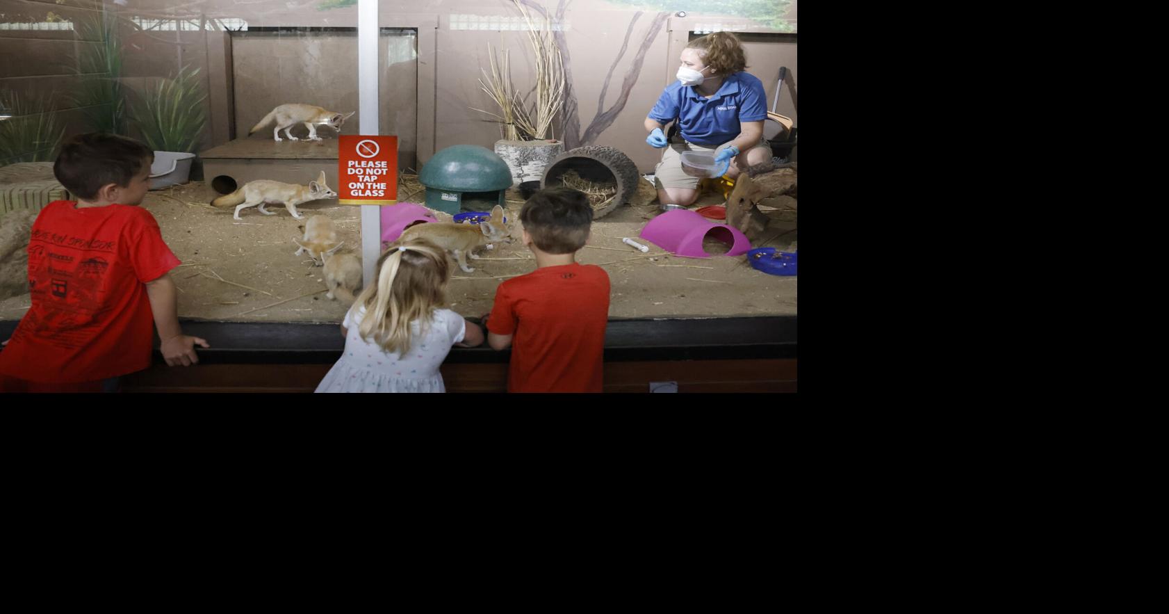 Photos of a day in the life of a zookeeper in Coal Valley