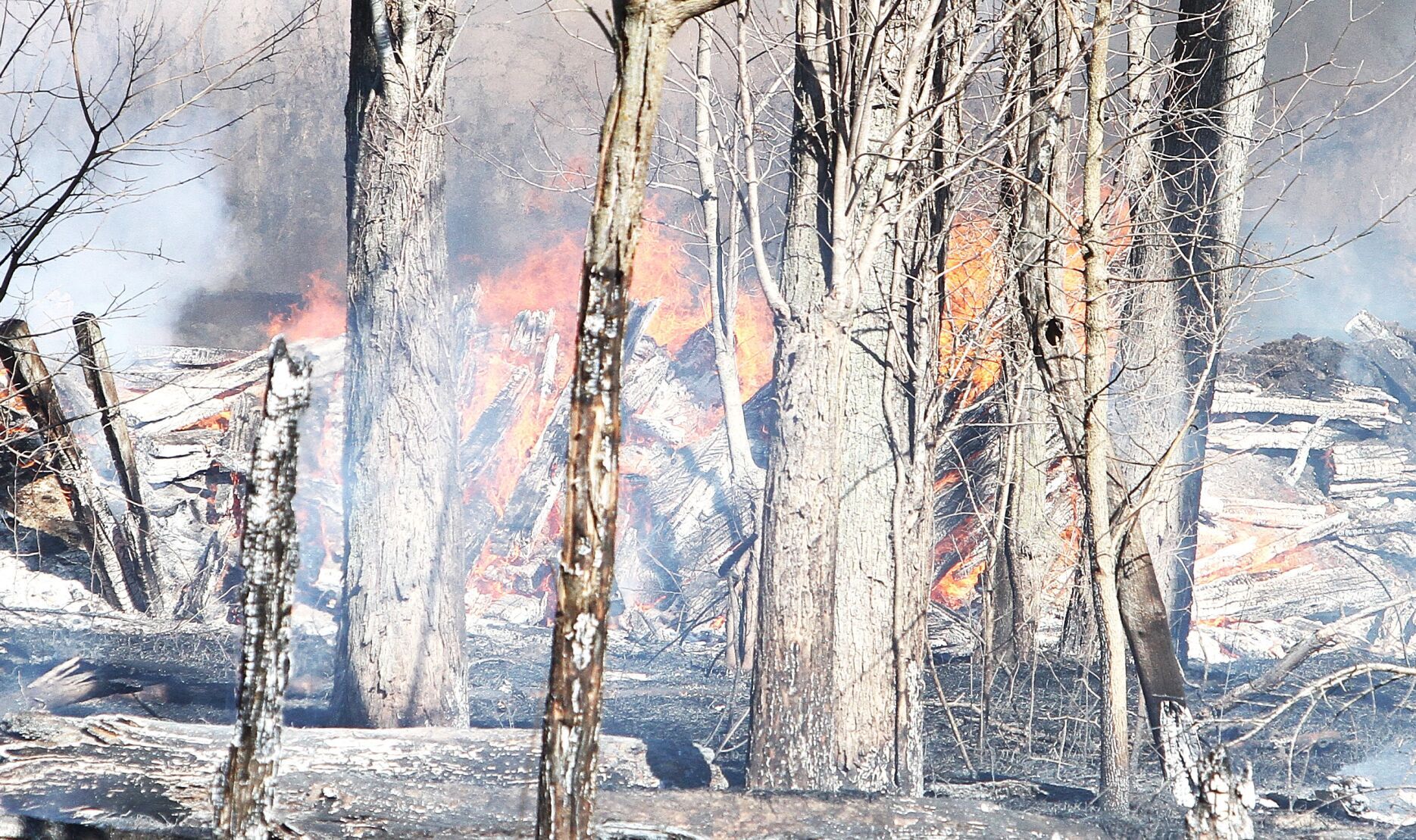 Firefighters fight brush fire in Carbon Cliff Feb. 27