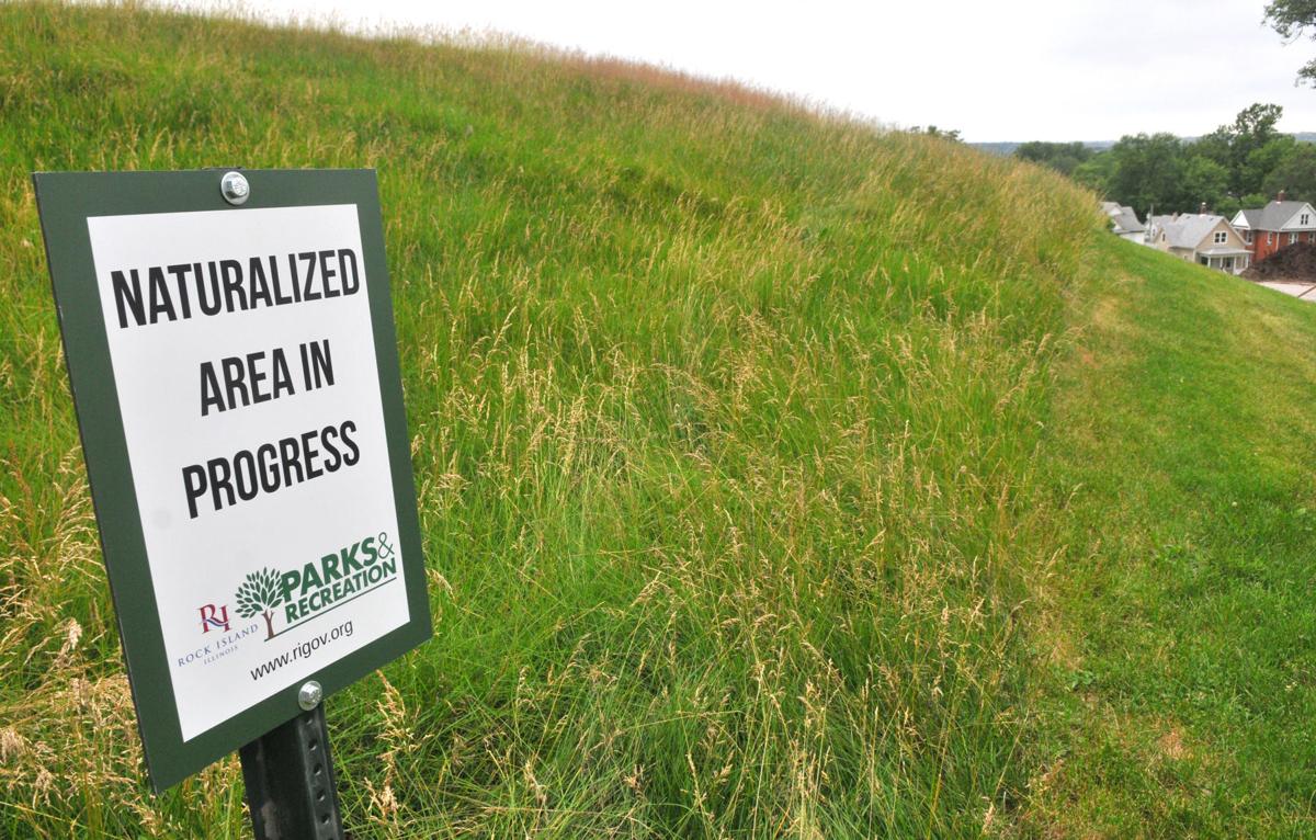 Rock Island parks creating naturalized areas