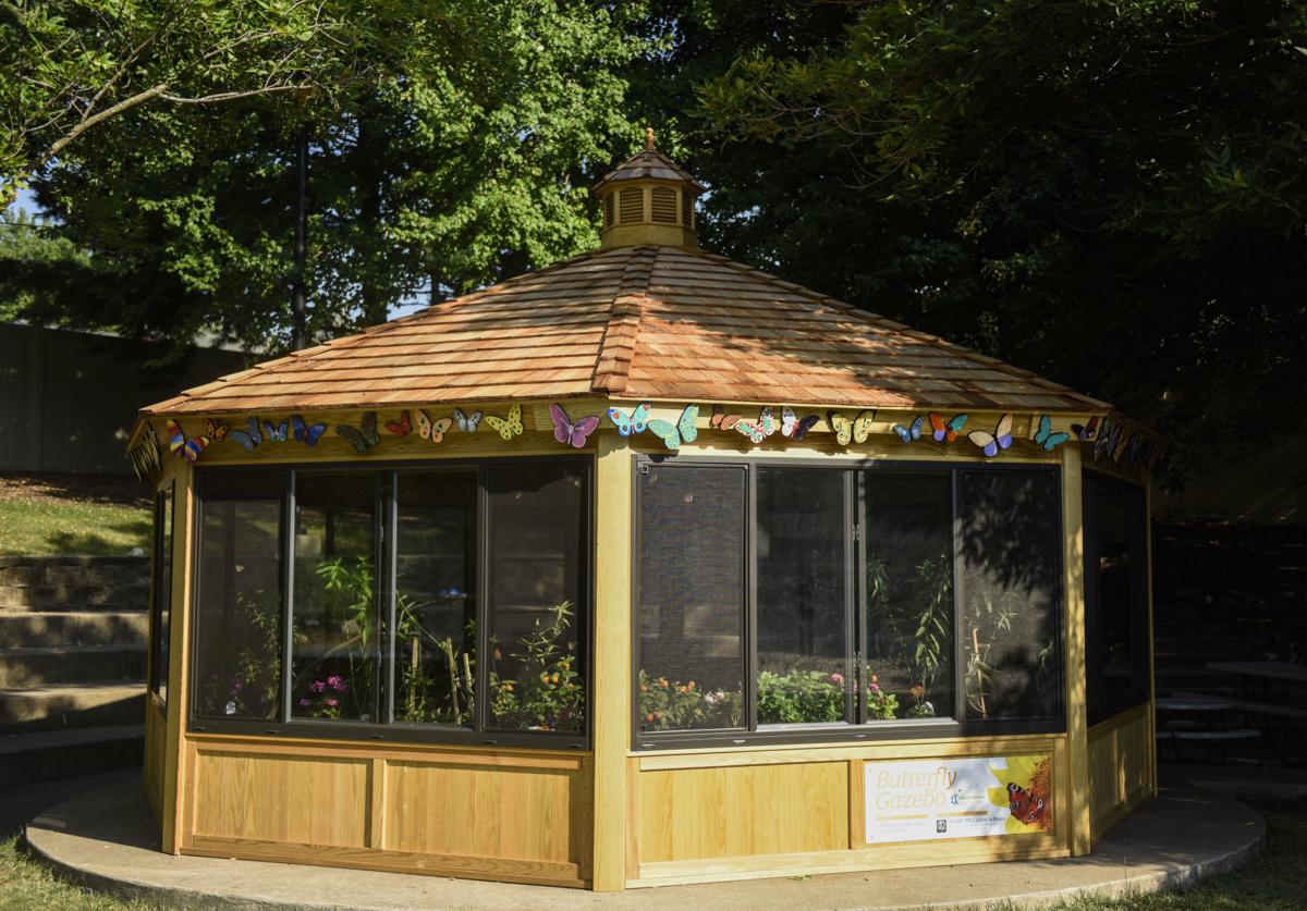 Butterfly in the sky ... gazebo