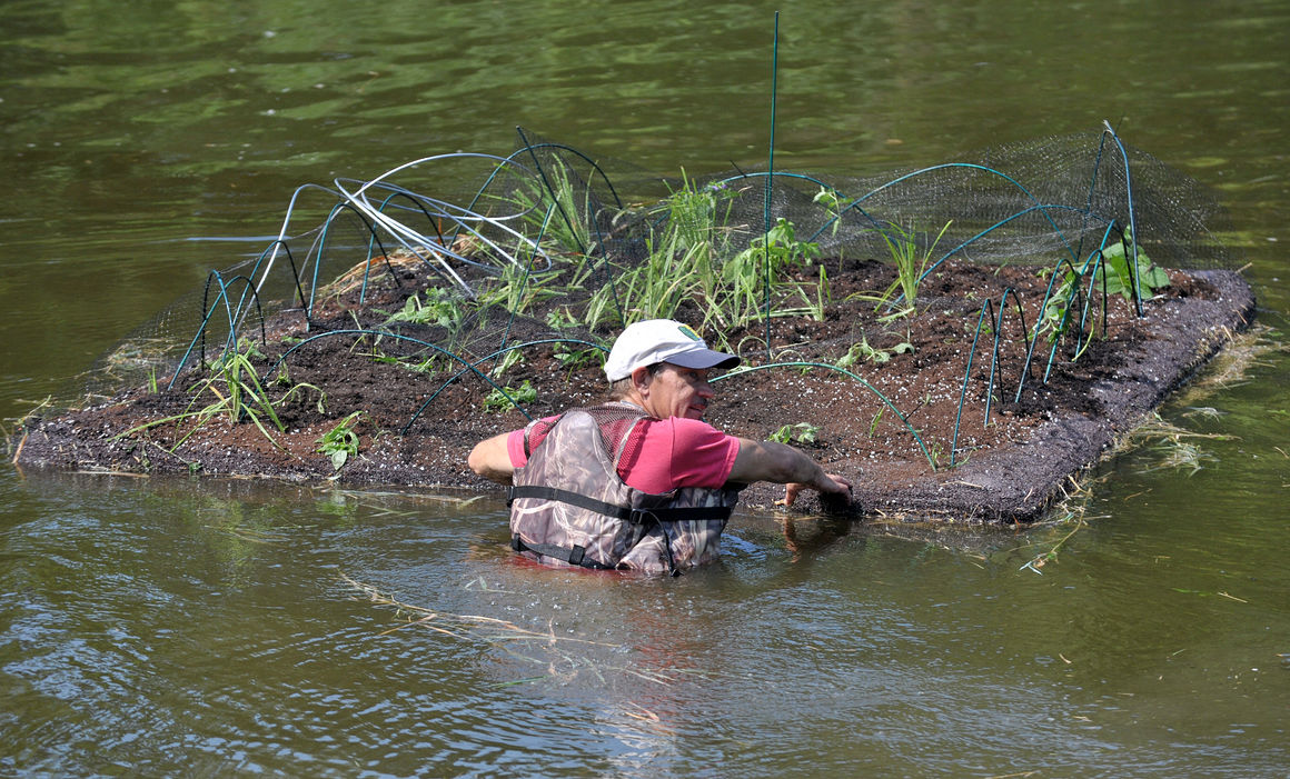 Floating island will battle algae in Davenport park | Local News ...