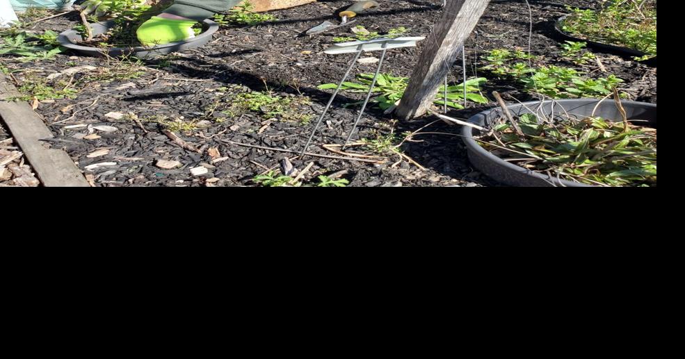 Mother Nature's Reproach | Fun Page | quovadisnewspaper.com