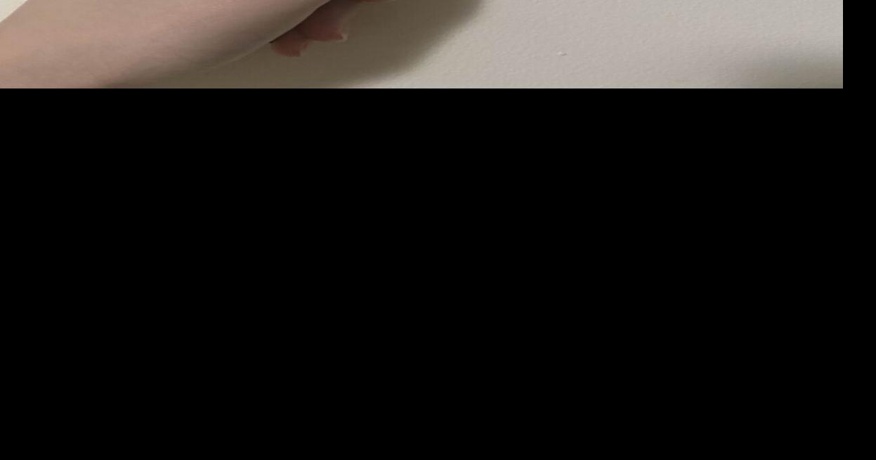 Ferrell Studios Calls For Talent to Join Productions | Arts ...