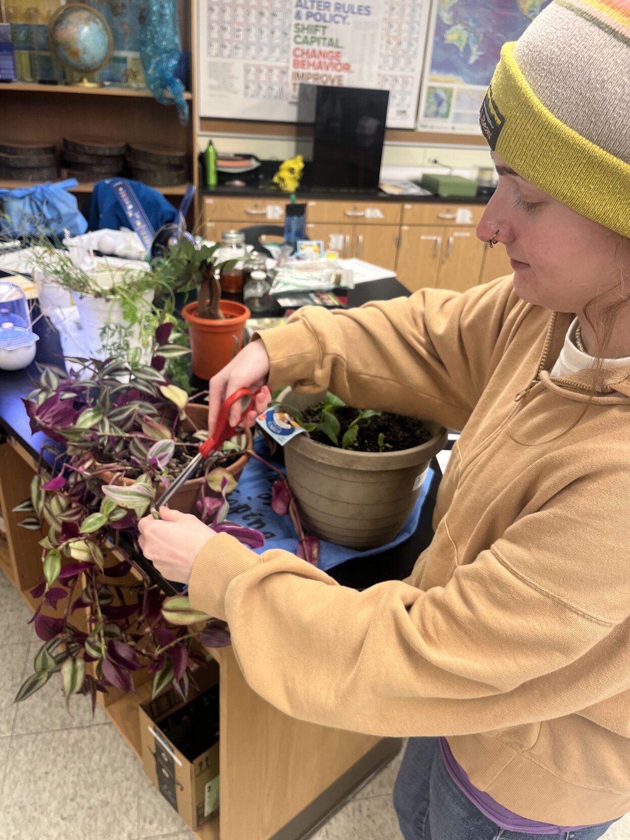 Botany Club Establishes Their Roots and Makes a Big Discovery | News ...