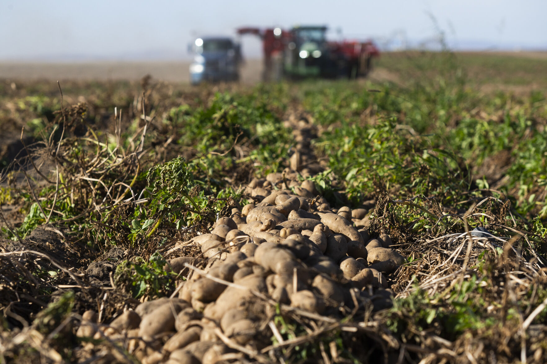 The Columbia Basin Reclamation Project: a century-long effort to ...