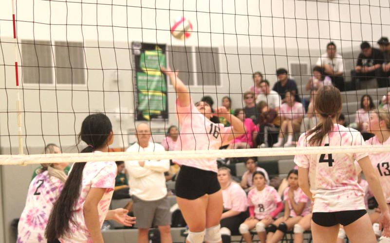 Lady Jacks earn spot in District 6 volleyball playoffs | Sports | qvpr.com