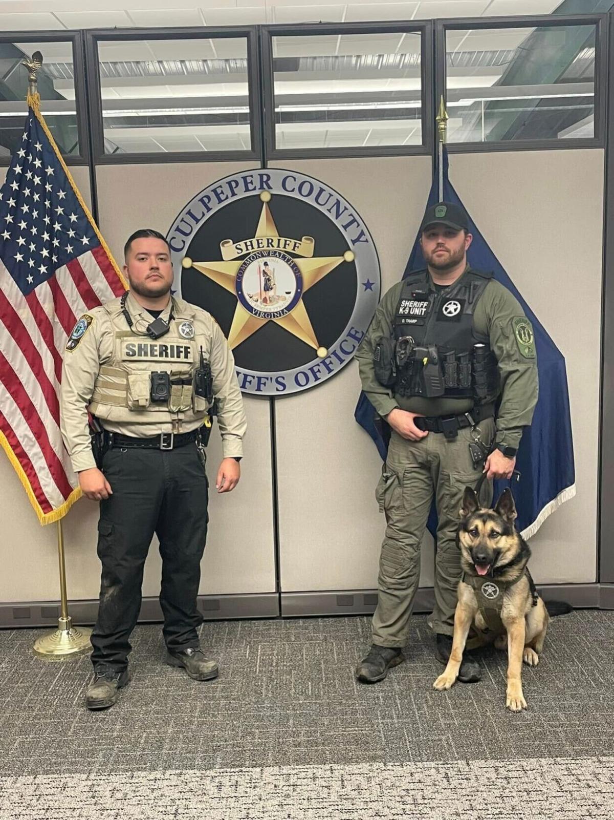 blue ridge task force