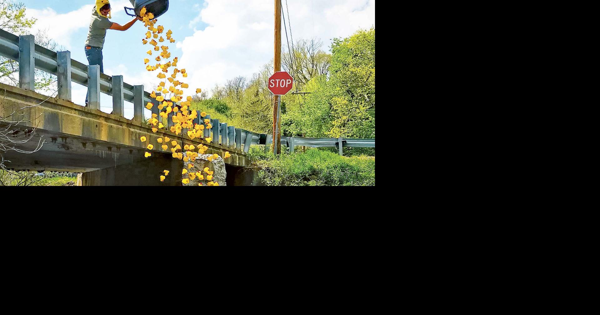 The Rapp for Feb. 3 | The Rapp | rappnews.com