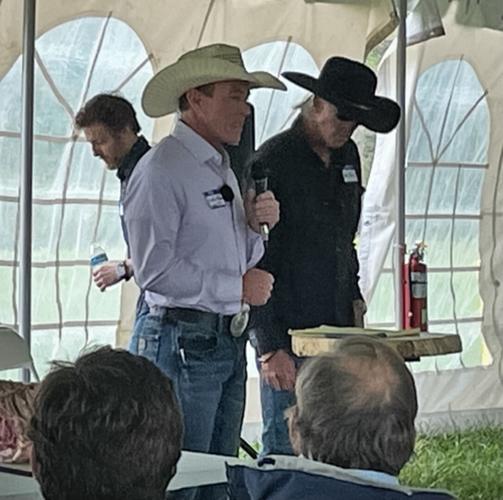 Commentary: Beef Initiative comes to Rappahannock | Comment | rappnews.com